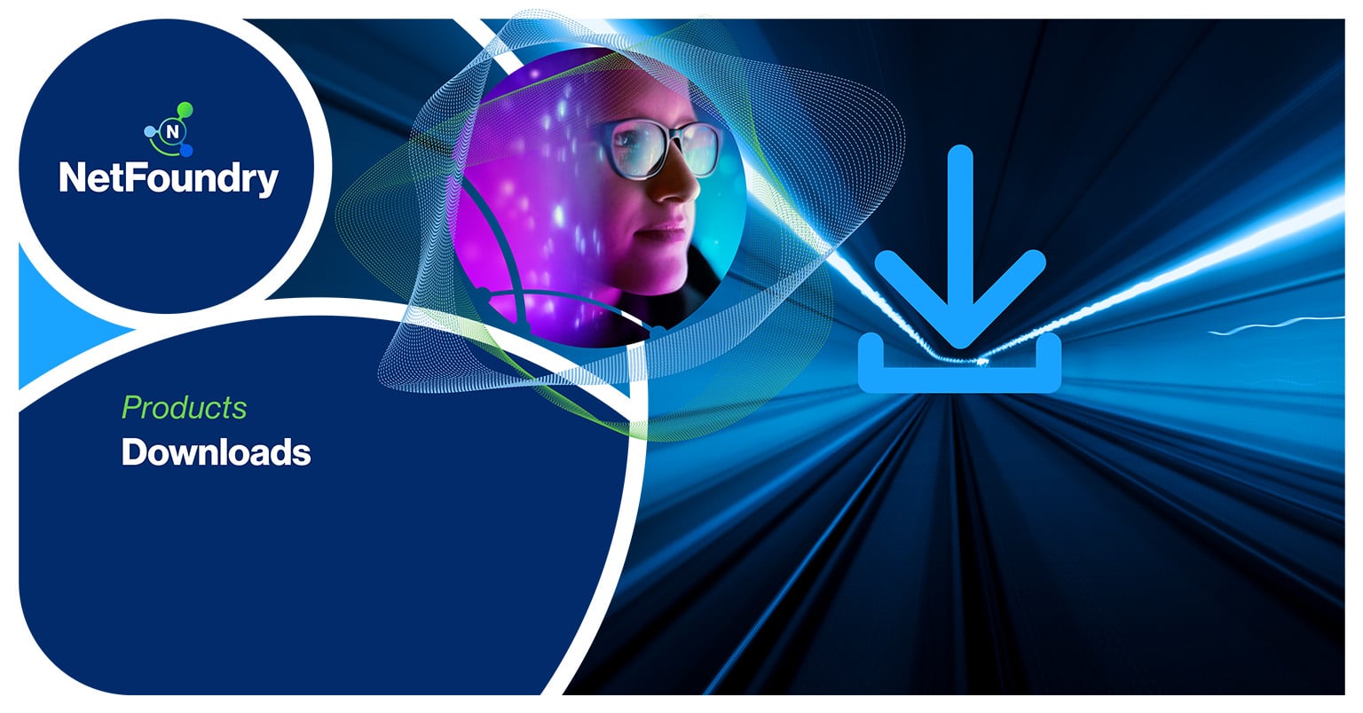 NetFoundry Endpoints - NetFoundry