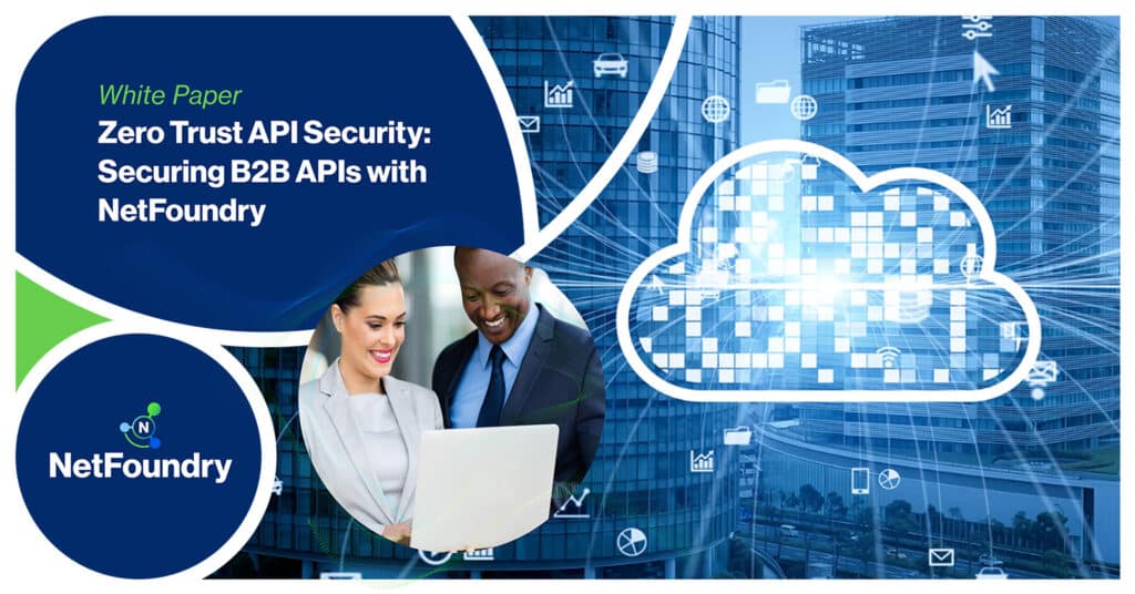 Zero Trust API Security: Securing B2B APIs with NetFoundry